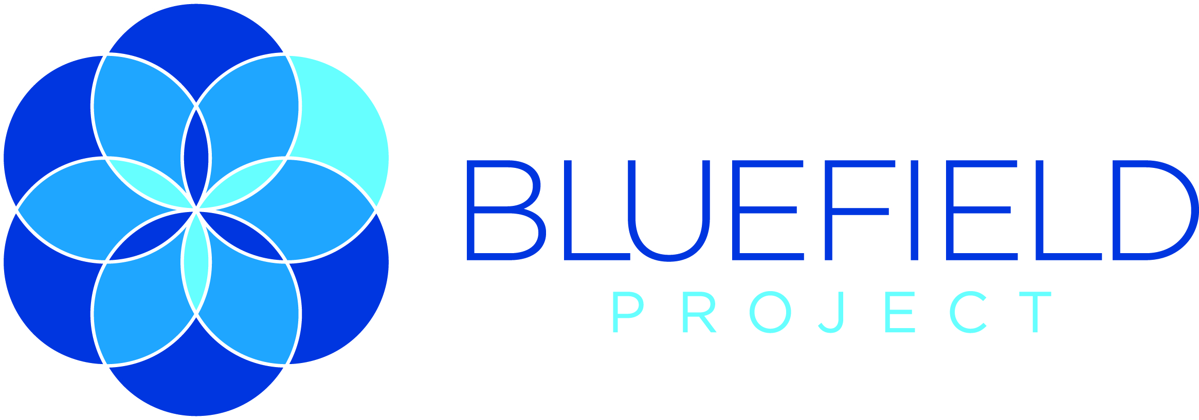 Partner Projects | Boxer Lab